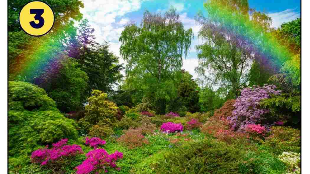 Personality Test: The Season You Choose Can Reveal If You’re Explorer ...