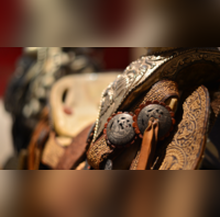 Grap : Latest News, Grap Videos and Photos - Times Now