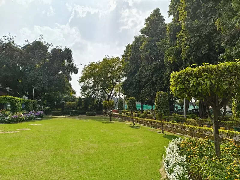 Nothing Phone 2(a) Review: Budget Phones Just Got Fun | Technology ...