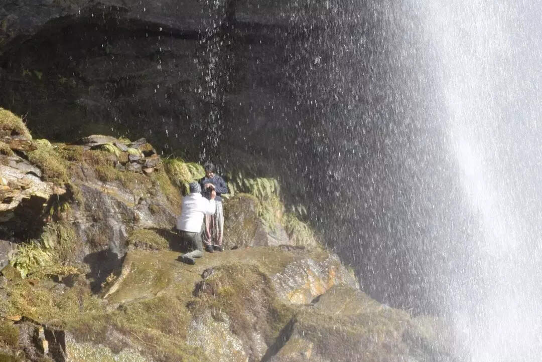 Unexpected Love Story: Bumpy Bus Ride Led to a World Tour With their ...