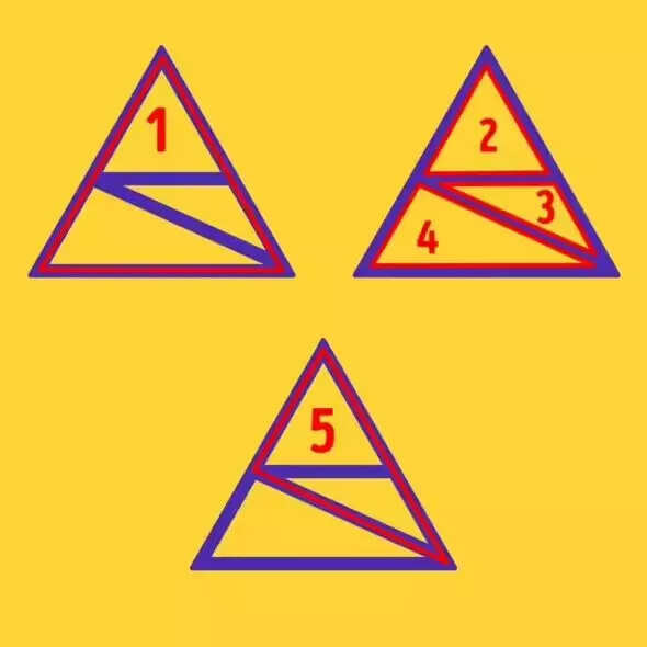 Spot Every Hidden Triangle in Five Seconds and Prove You Have a High IQ | Mental Health News ...