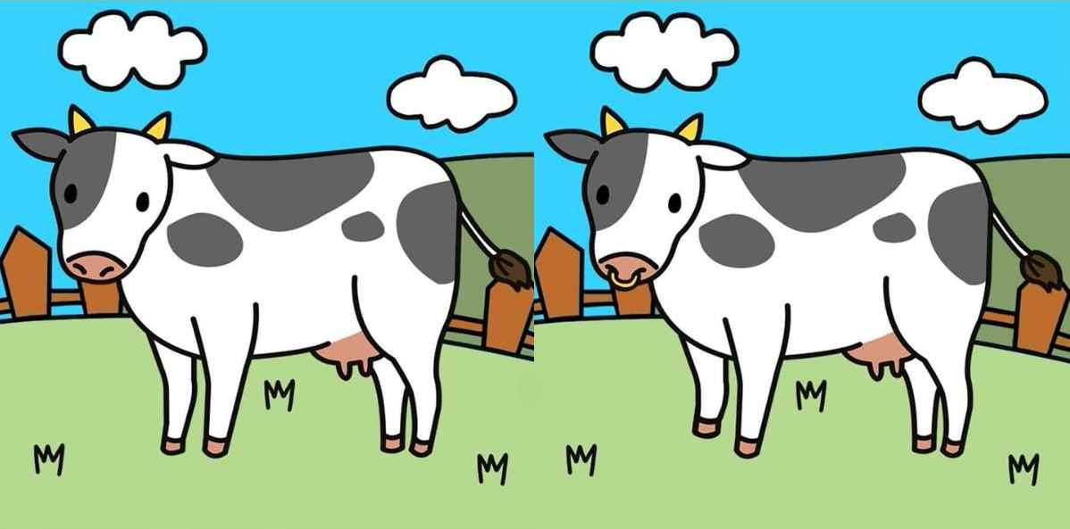 Puzzle: Can You Spot 5 Differences Between The Cow Images Within 30 ...