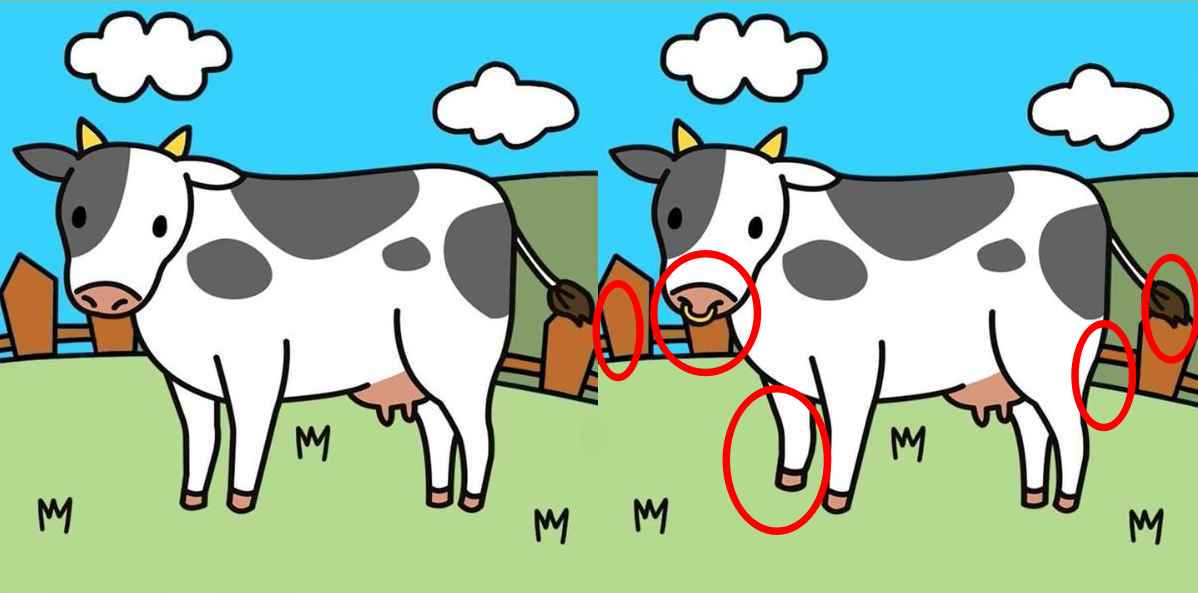 Puzzle: Can You Spot 5 Differences Between The Cow Images Within 30 ...