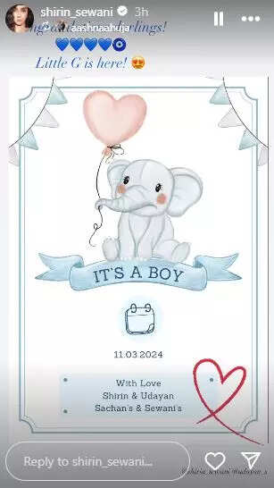 Shirin Sewani Baby: Naagin 2 Fame Shirin Sewani Blessed With A Baby Boy ...