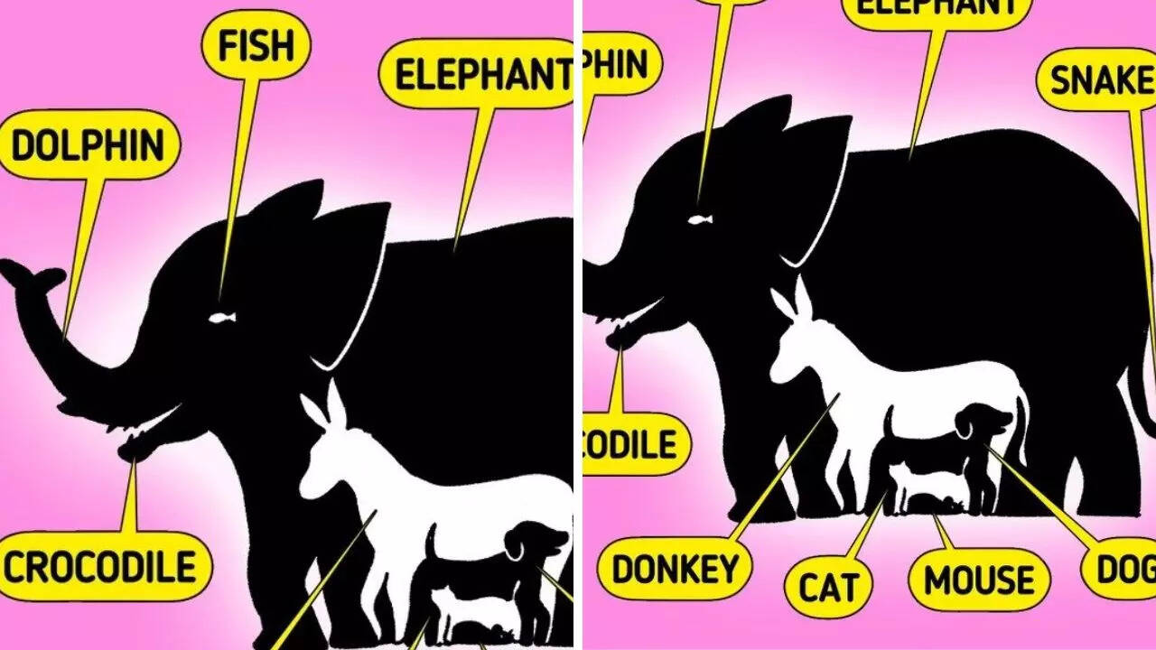 Intelligence Test How Many Animals Do You See Optical Illusion IQ