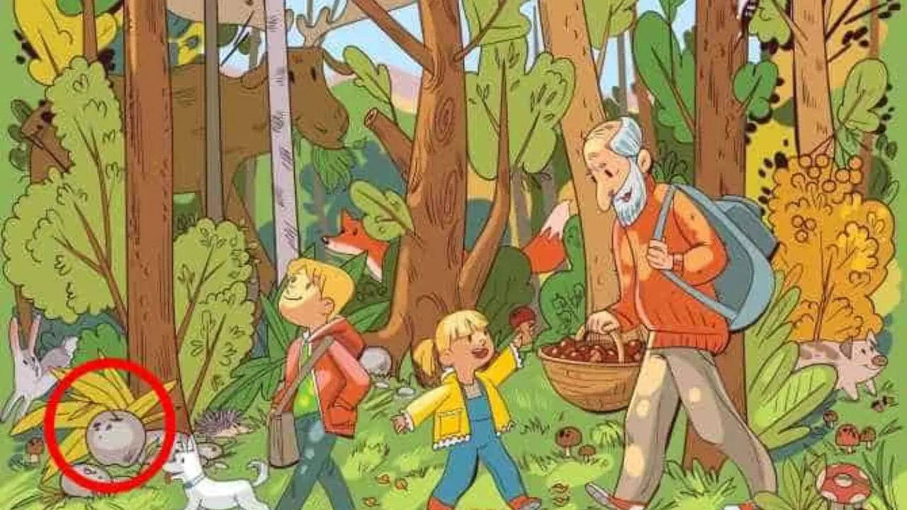 Optical Illusion Test: Only People With High IQ Can Spot The Hidden ... Optical Illusion Test: Only People With High IQ Can Spot The Hidden ...