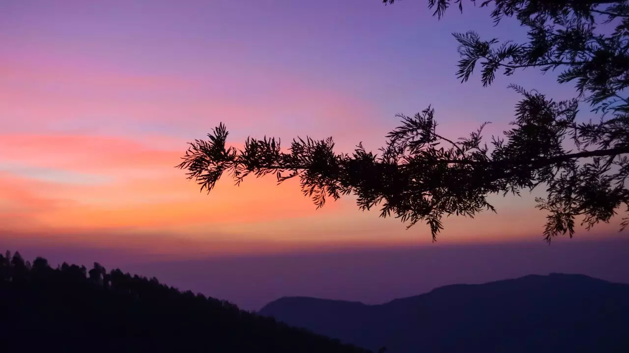 South India Road Trips in April: 2024: 8 Must-Visit Hill Stations for a ...