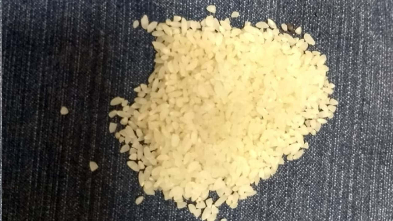 GI Tag For Rice: 8 GI-Tagged Rice Varieties In India From Joha To Kala ...