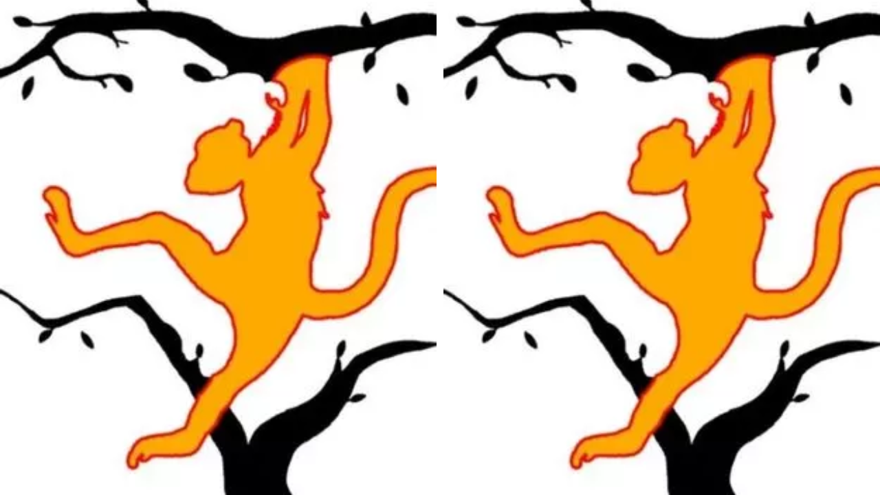 Optical Illusion: The Animal You See First Can Reveal Which Side Of ...