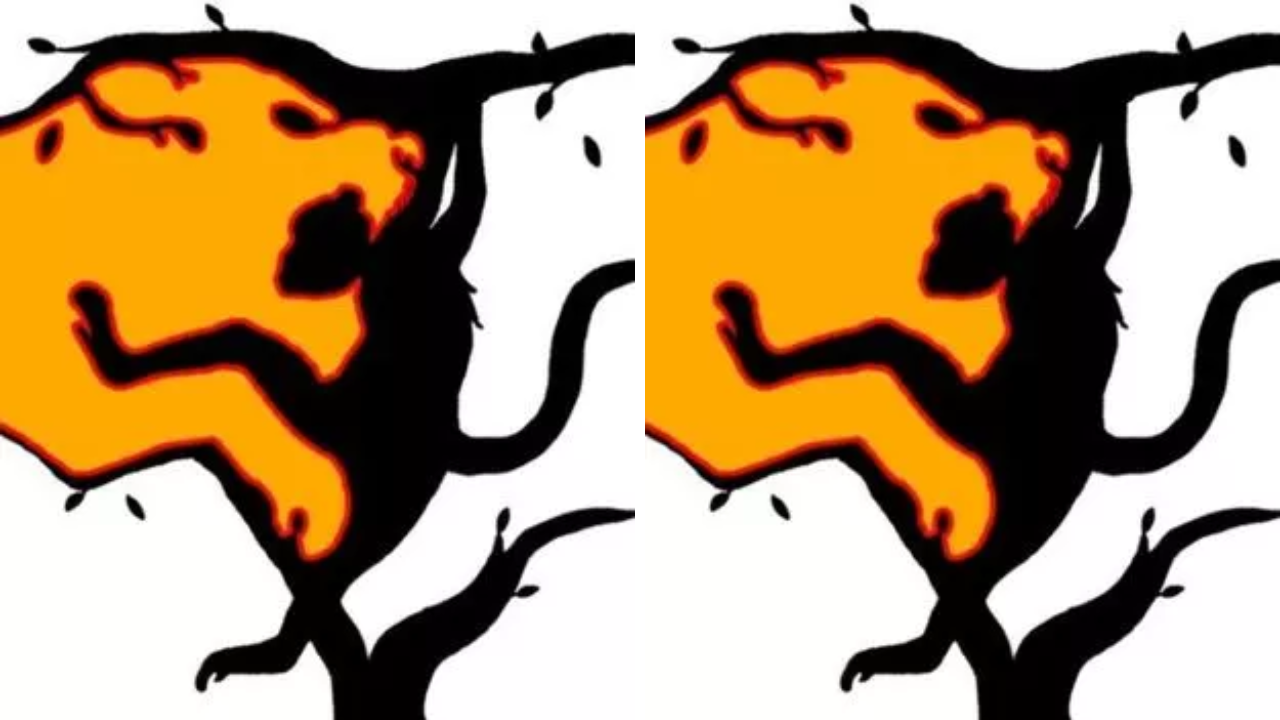 Optical Illusion: The Animal You See First Can Reveal Which Side Of ...
