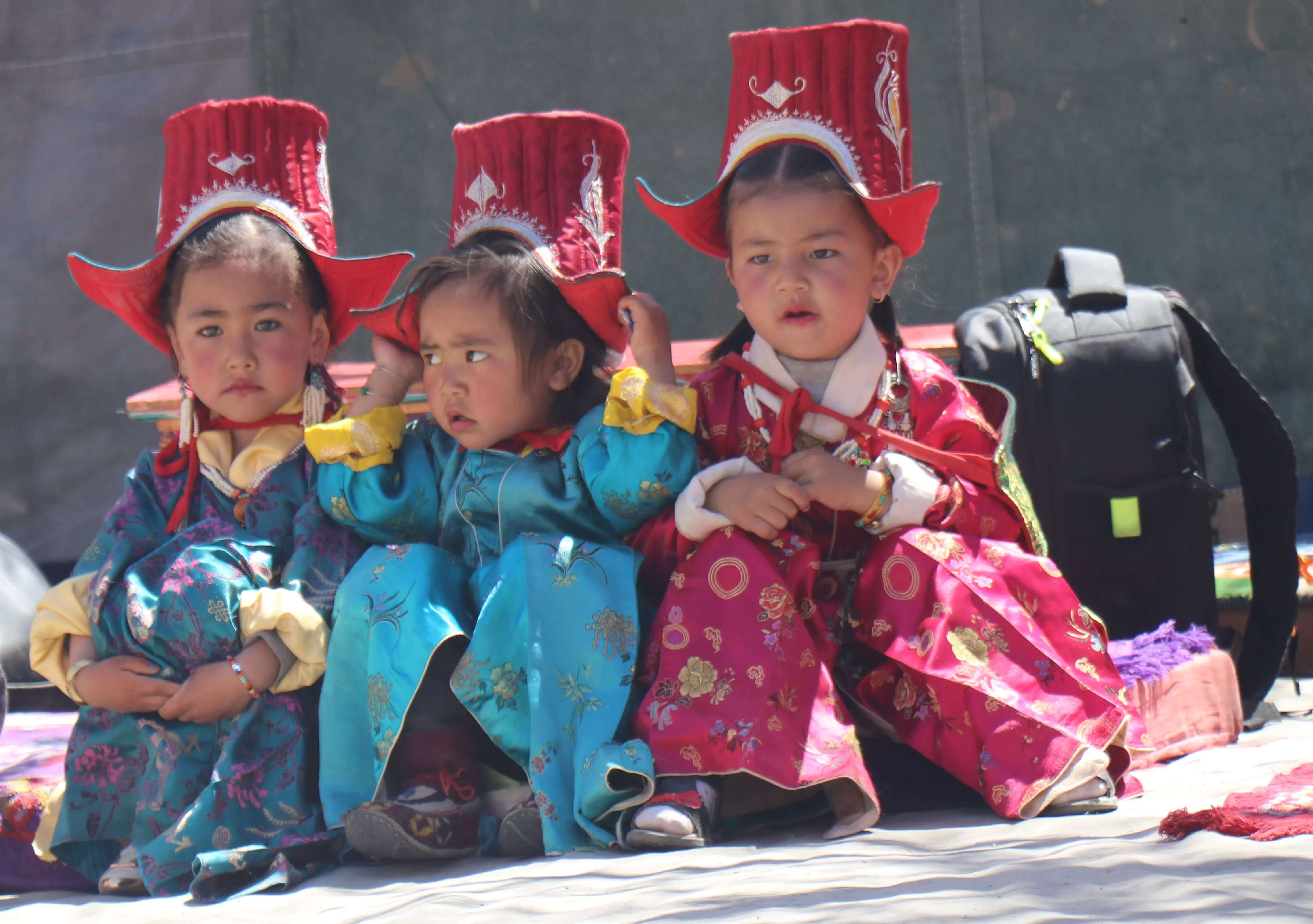 Explore The Beauty Of Ladakh's Apricot Blossom Festival In April ...