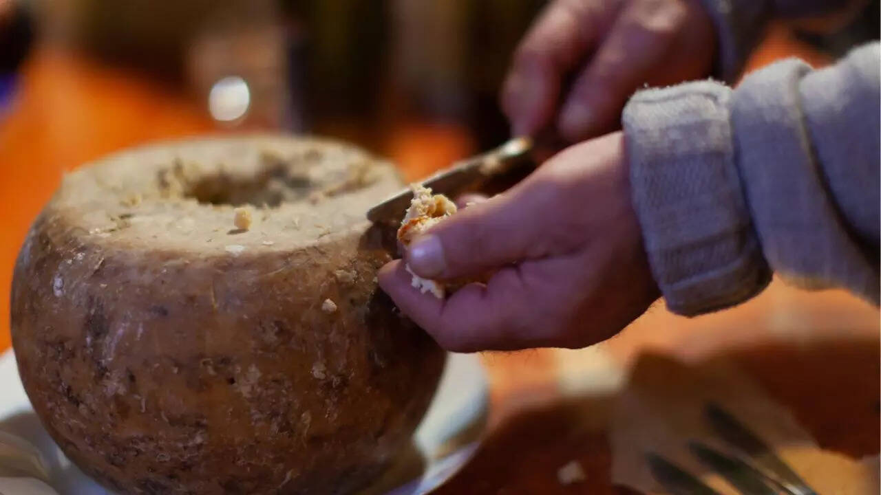 Heard Of Casu Marzu, The World's Most Dangerous Cheese? | Times Now