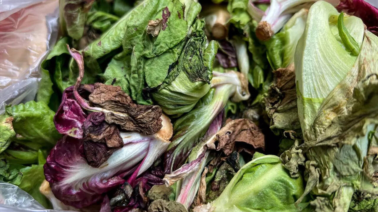 Scared Of Eating Sprouted Potatoes Or Wilted Lettuce? Know If These ...