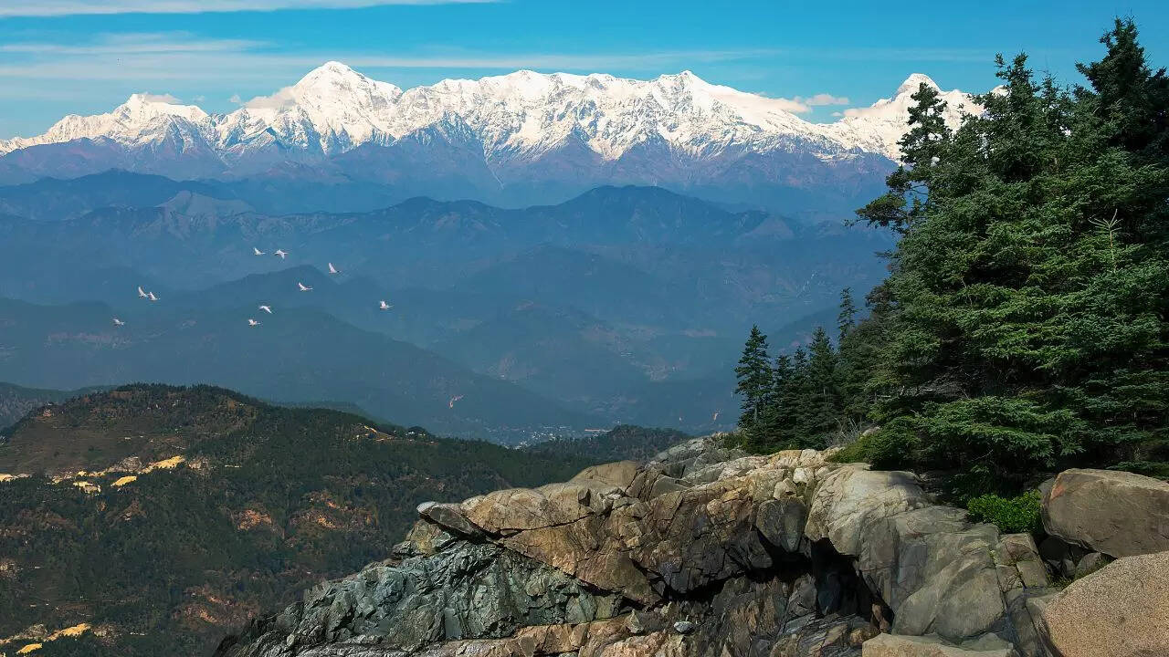 Binsar Bliss: A Hidden Uttarakhand Getaway Waiting To Be Explored