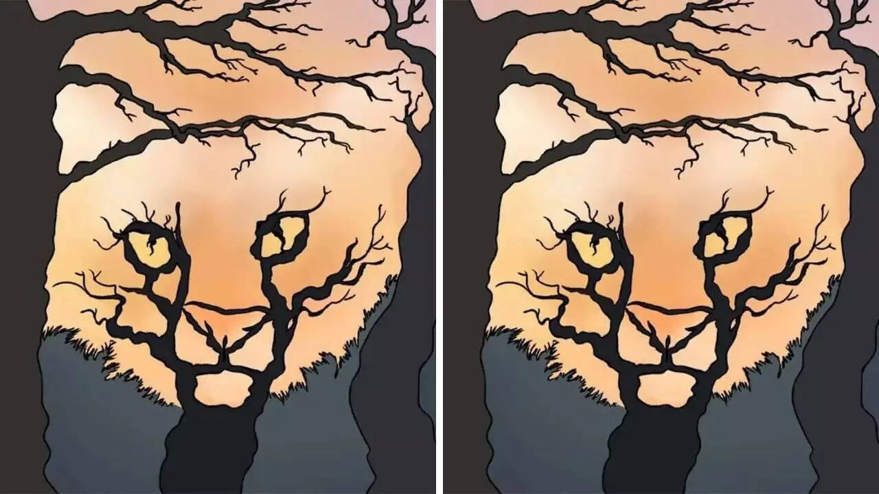 Optical Illusion Personality Test: What You See First Can Reveal Your ...