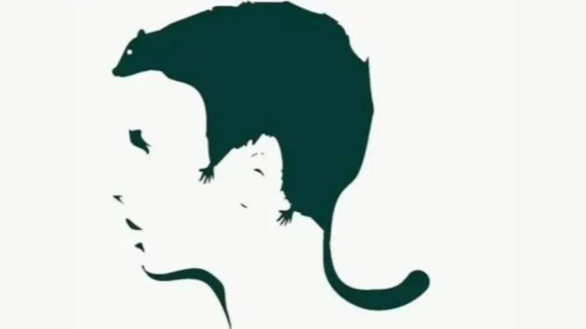 Unlock Your Subconscious: Optical Illusion Personality Test Exposes ...