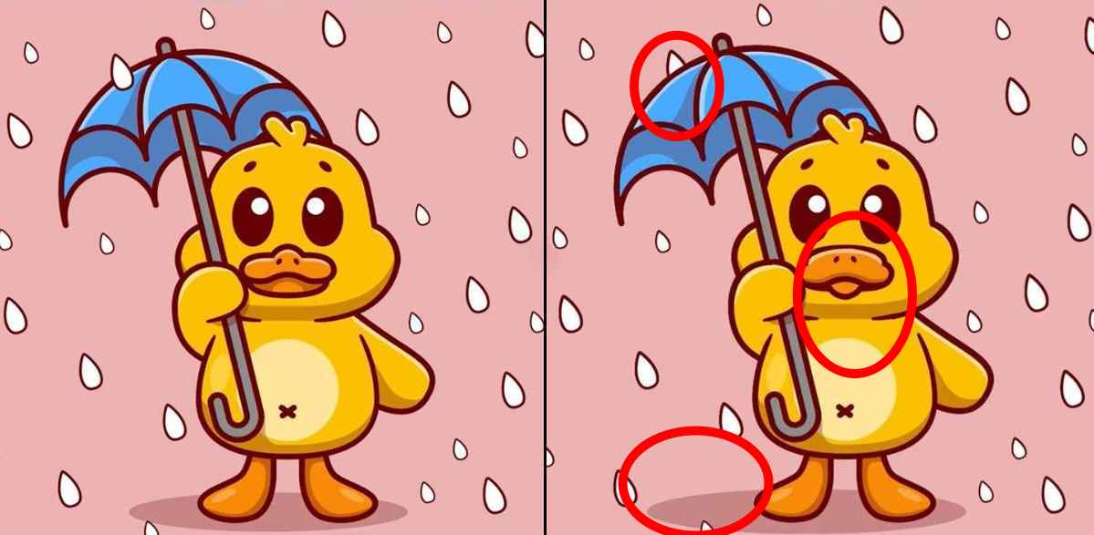 Puzzle: Can You Find 3 Differences Between the Duck In Rain Images In ...