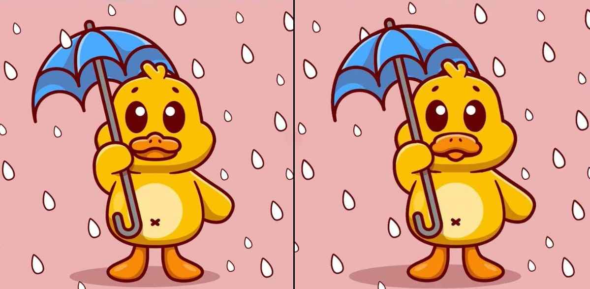Puzzle: Can You Find 3 Differences Between the Duck In Rain Images In ...