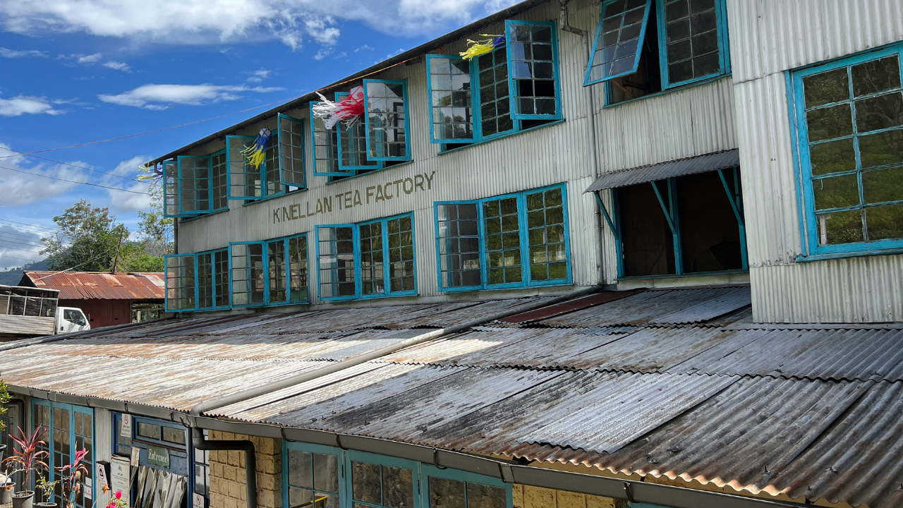 All You Need To Know To Take On The Ella Rock Hike | Times Now