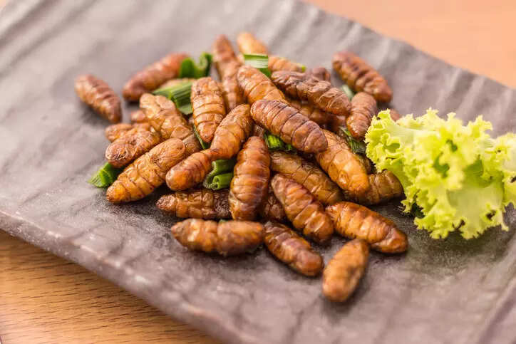 Entomophagy: Insects On Your Plate! A Taste Of India's Indigenous ...
