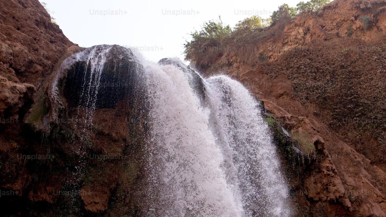 Chikmagalur's Calling: Top 5 Spots for Nature Lovers | Times Now