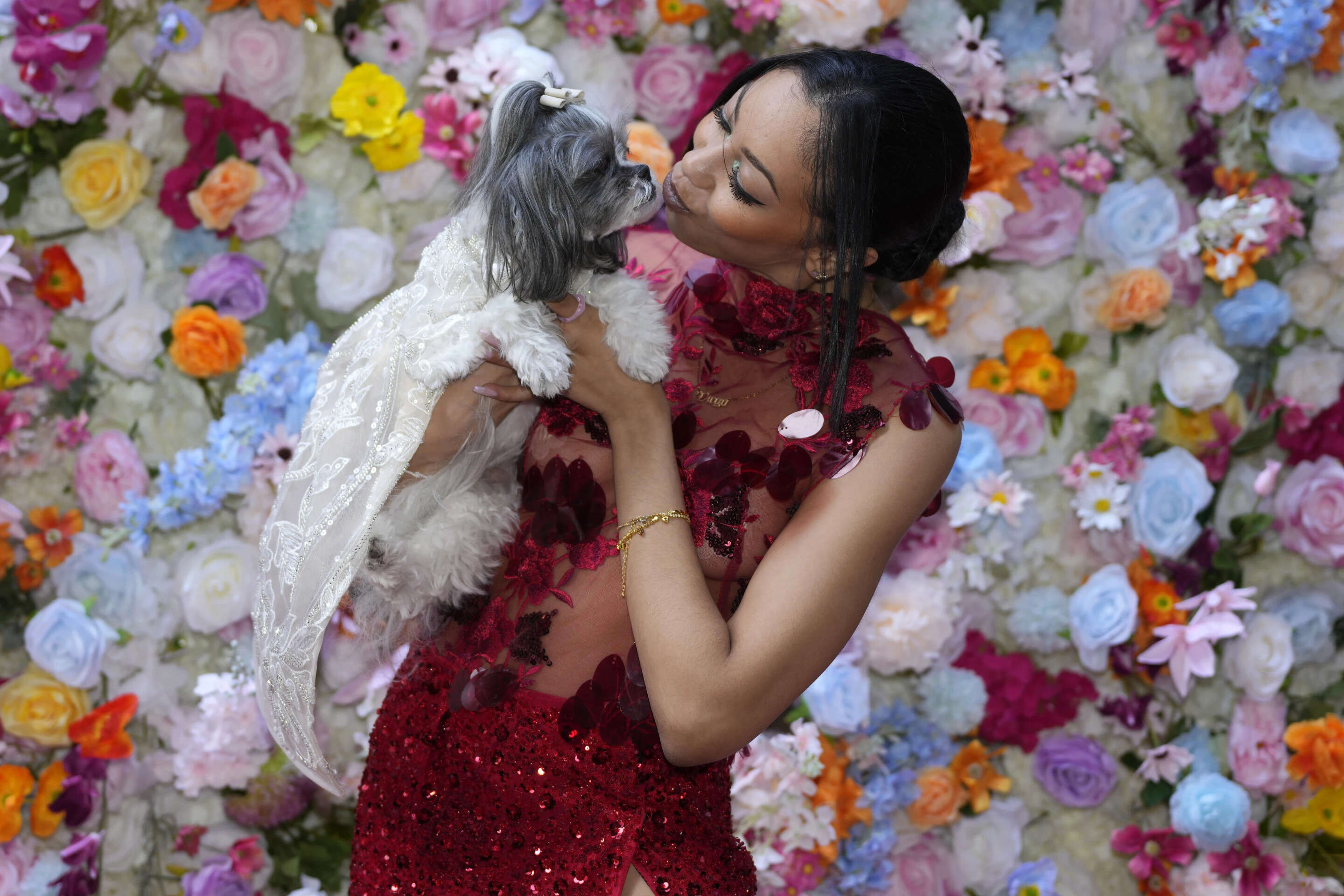 Pet Gala Highlights: Canines Walk Red Carpet Inspired By Cardi B And ...