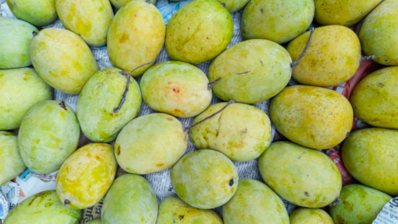 8 States And Their Famous Mango Varieties, From Chausa To Malda | Times Now