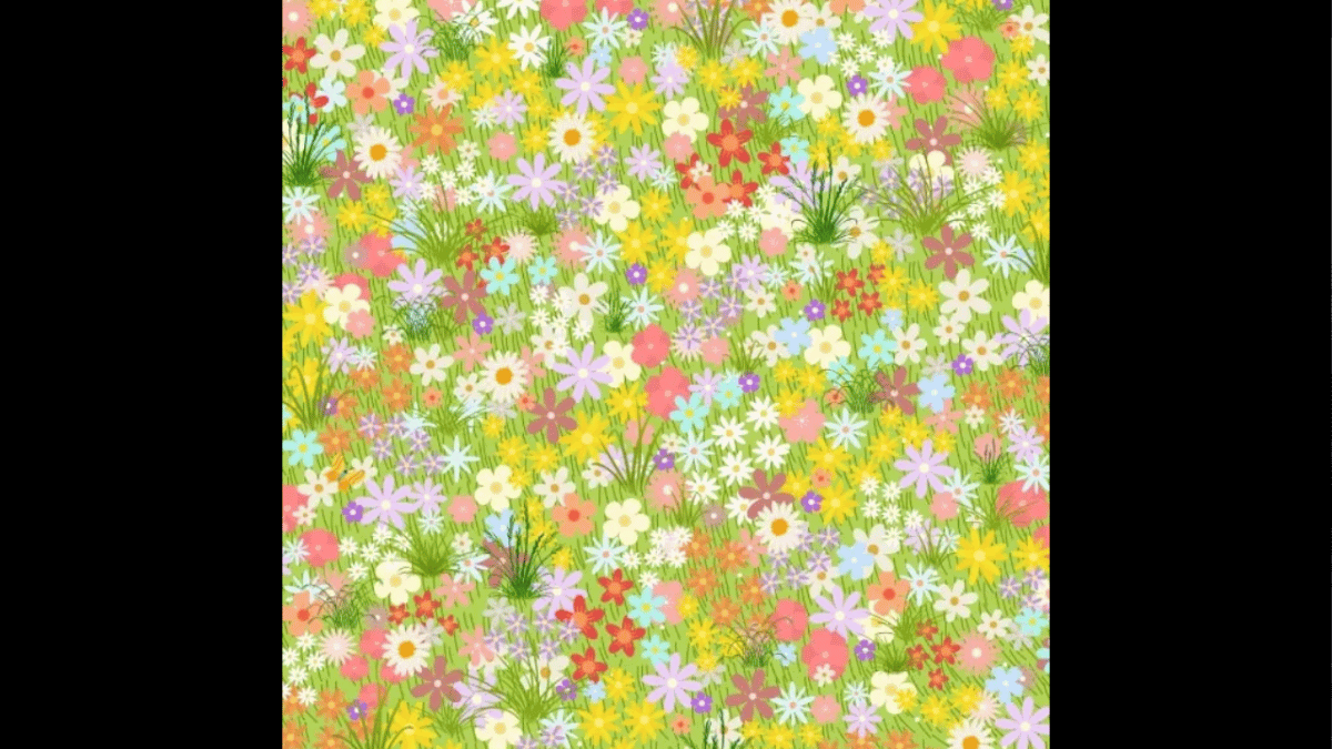 Optical Illusion Vision Test: Can You Spot the Butterfly Among Flowers ...