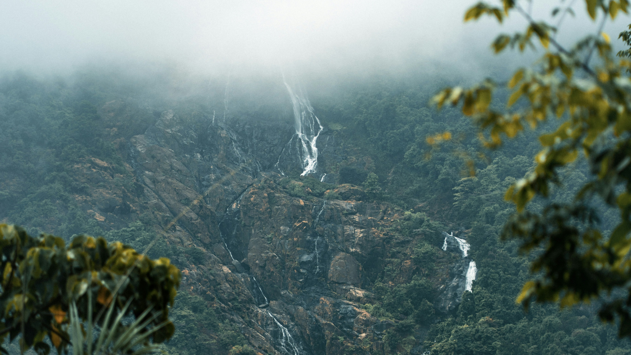Best Trekking Places In Goa: 5 Unforgettable Monsoon Treks In Goa If ...