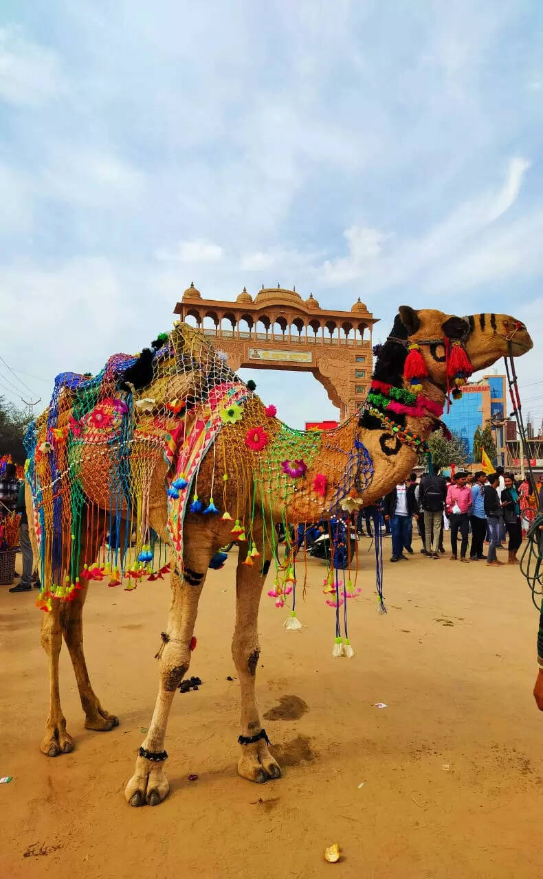 Khatu Shyam Temple | Journeying To Khatoo: Paying Obeisance To Khatu ...