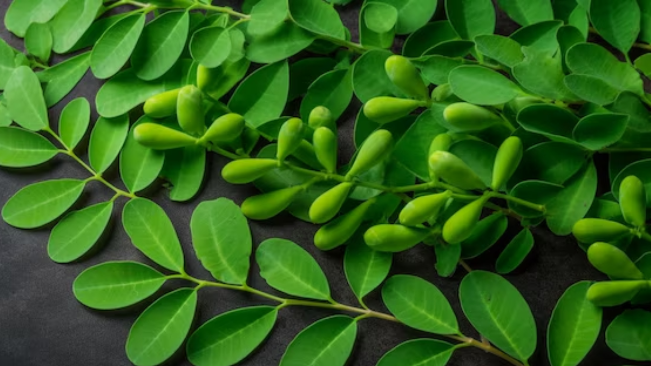 Moringa To Gongura Leaves- Know These 7 Lesser-Known Greens Used In ...