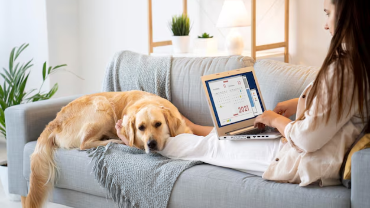 8 Fun Activities to Keep Your Pup Busy While You're Working | Times Now
