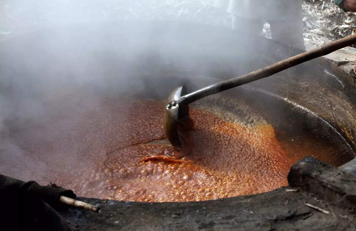 Marayoor To Coconut: 6 Types Of Jaggery To Replace Your Sugar | Times Now