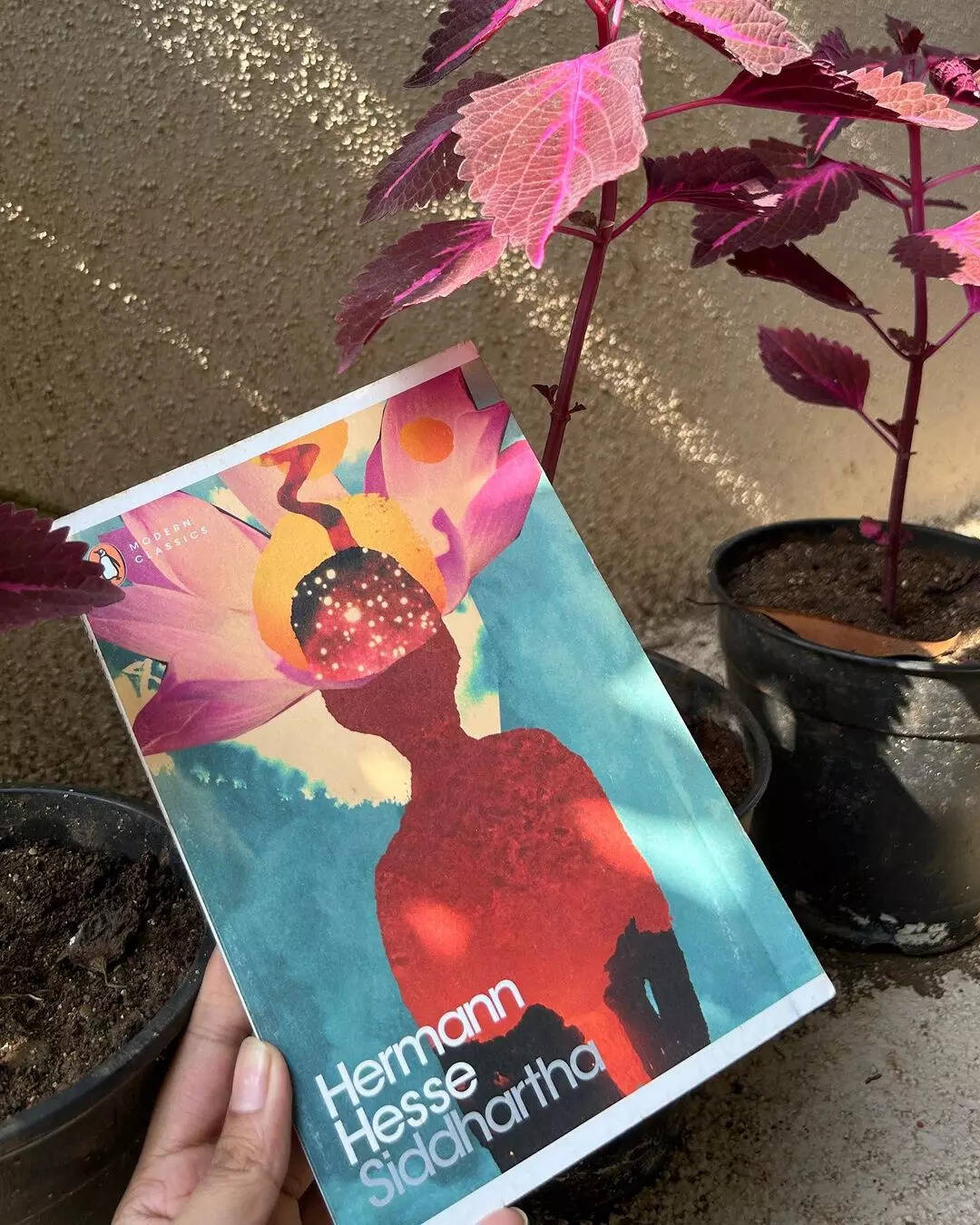 25 Best Books Recommended by Lex Fridman On Personal Growth That Will ...