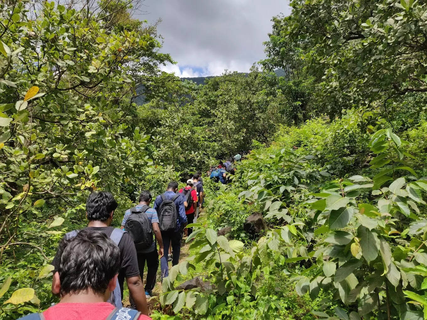 Best Trekking Places In Goa: 5 Unforgettable Monsoon Treks In Goa If ...