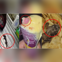 Icai : Latest News, Icai Videos and Photos - Times Now