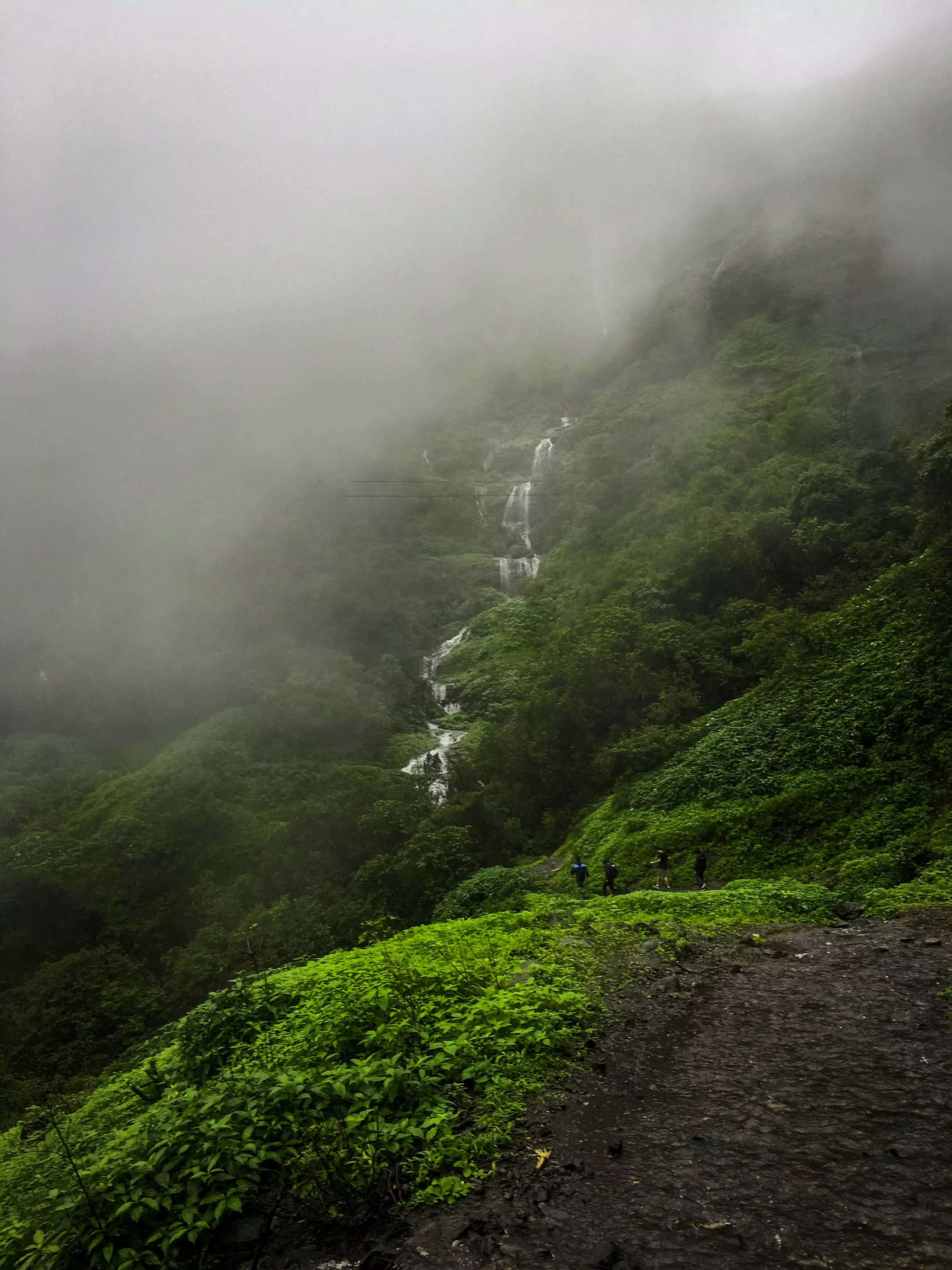 Best Monsoon Treks In Maharashtra: 5 Beautiful Monsoon Treks In ...