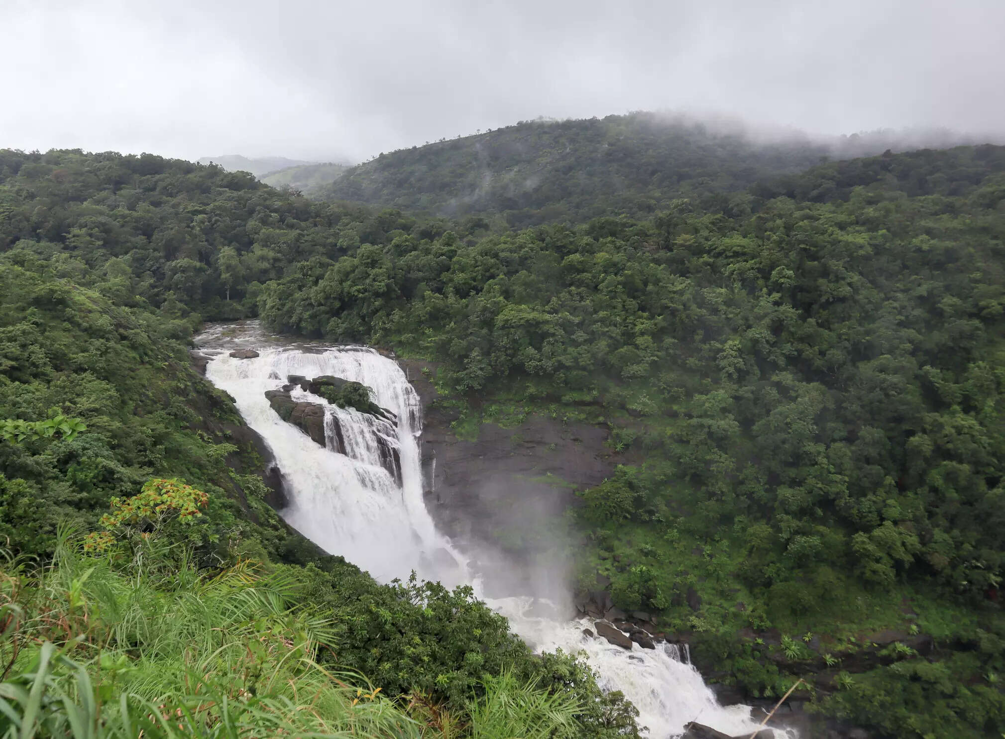 Make The Most Of Coorg Monsoon With These Places | Times Now