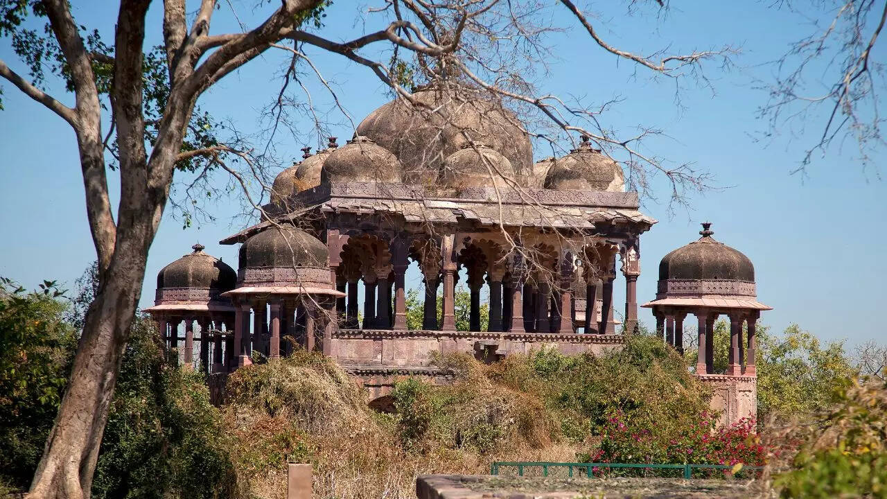 Ranthambore Safari Travel Guide: A Complete Guide About Ranthambore ...