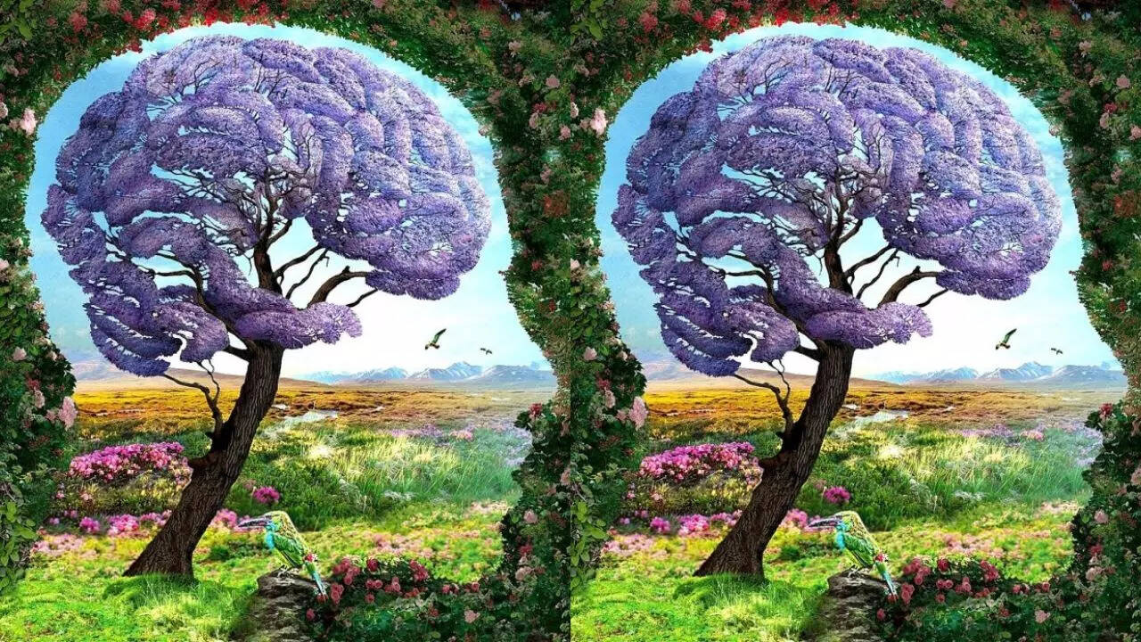 Optical Illusion Personality Test: What You See First Can Reveal ...