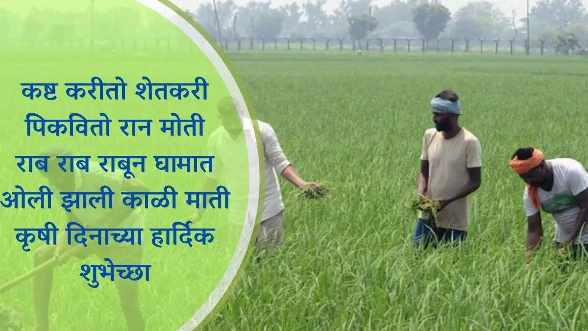 Maharashtra Krishi Din Wishes: महाराष्ट्र कृषी दिनानिमित्त शेतकऱ्यांना ...
