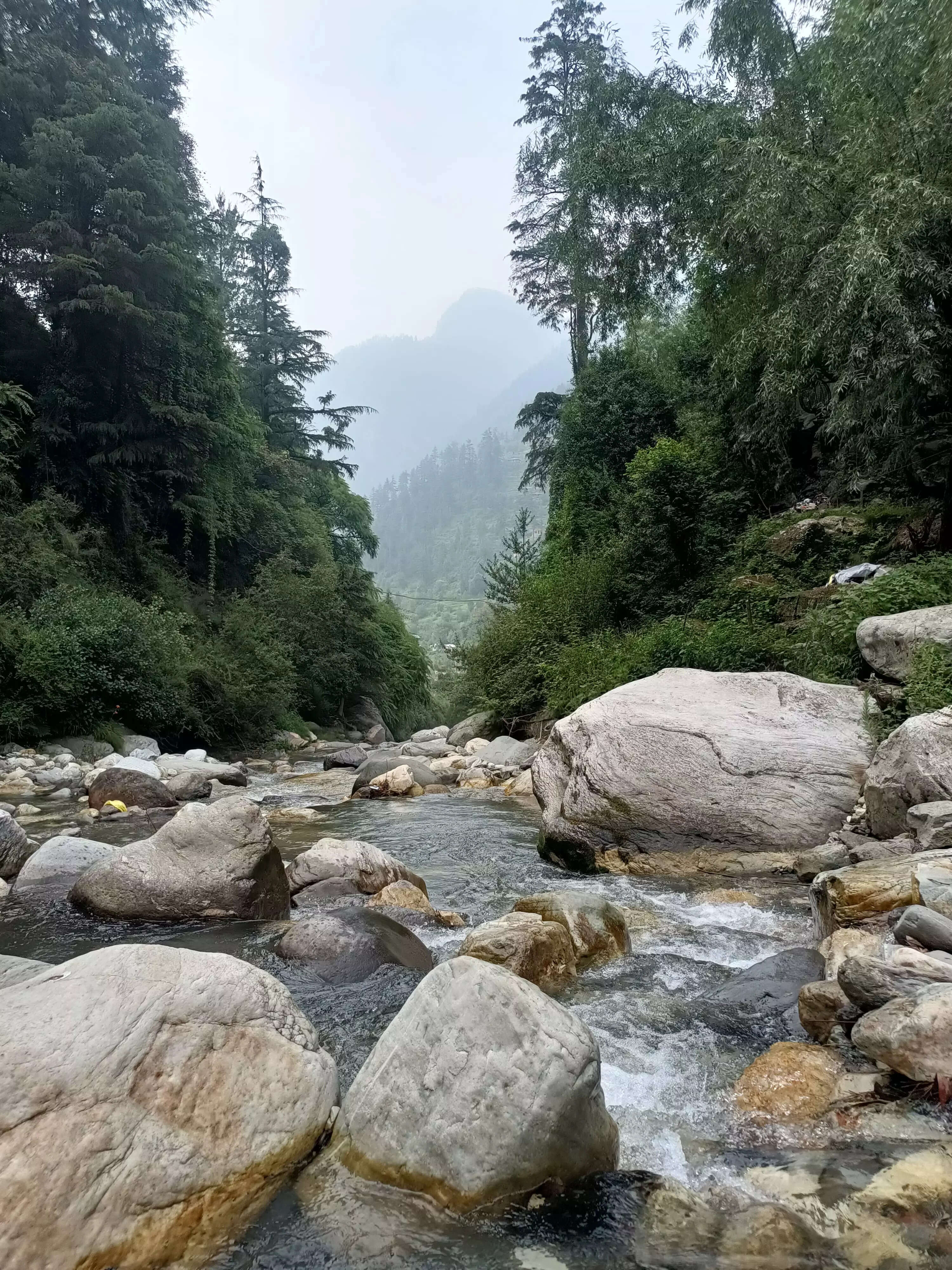 Jibhi 3-Day Trip Complete Guide: How To Reach, Places To Visit, Where ...