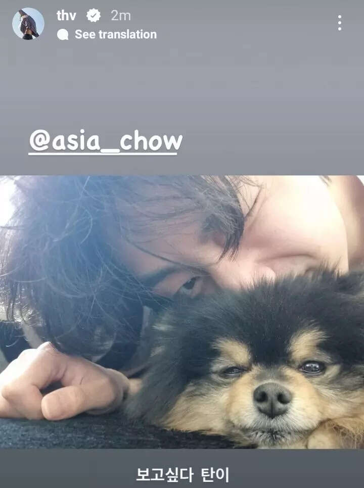 BTS V Military Service: BTS' V Misses Yeontan During Military Service ...