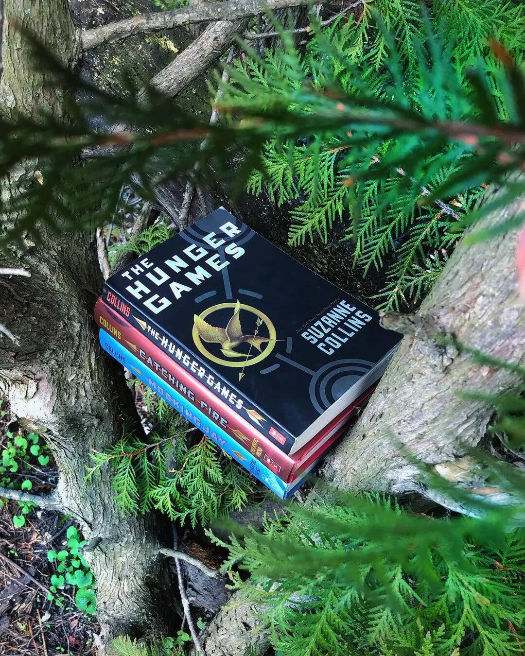 12 Riveting Books to Keep You Up Past Bedtime | Times Now