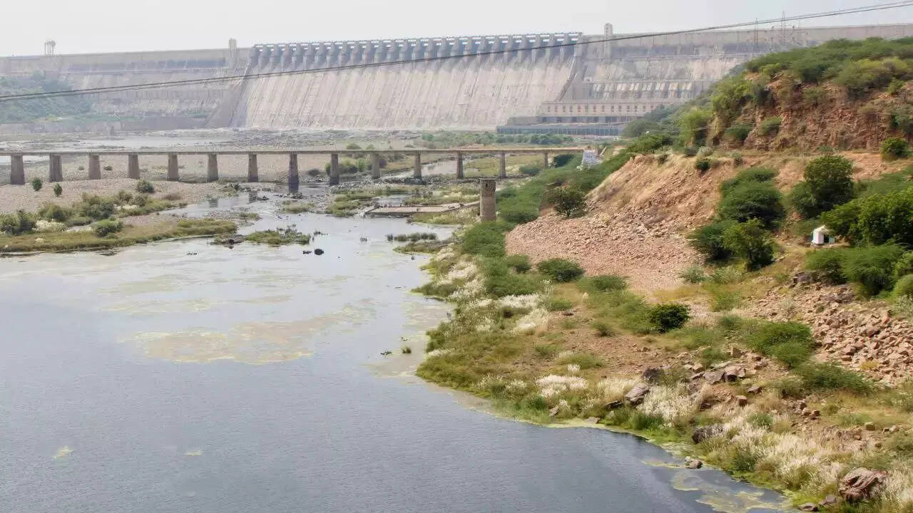 Big Dams of India: भारतातील सर्वात मोठी 5 धरणे; किती वीज निर्मिती करतात ...