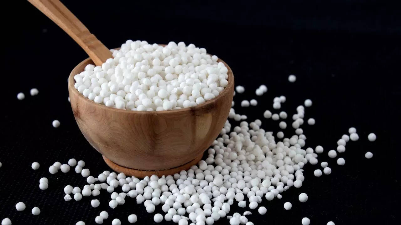 Shravan Month Fasting Food Recipes: What Makes Sabudana The Most Loved ...