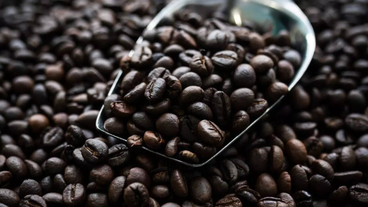 Monkey Coffee Bean: Would You Try Monkey Spit Coffee? The Unusual ...