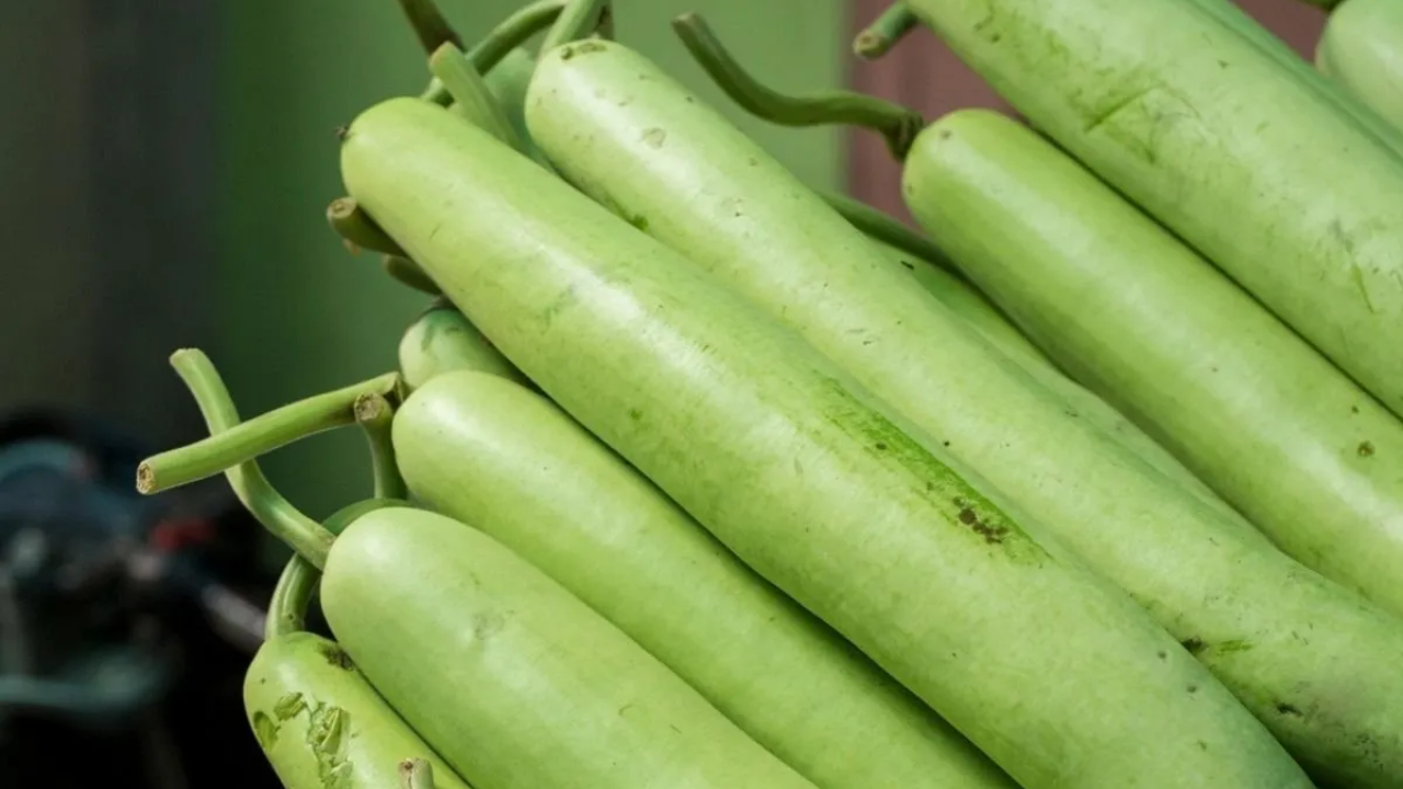 Monsoon Vegetables : पावसाळ्यात खा या 5 भाज्या, शरीरात इन्फेक्शन ...