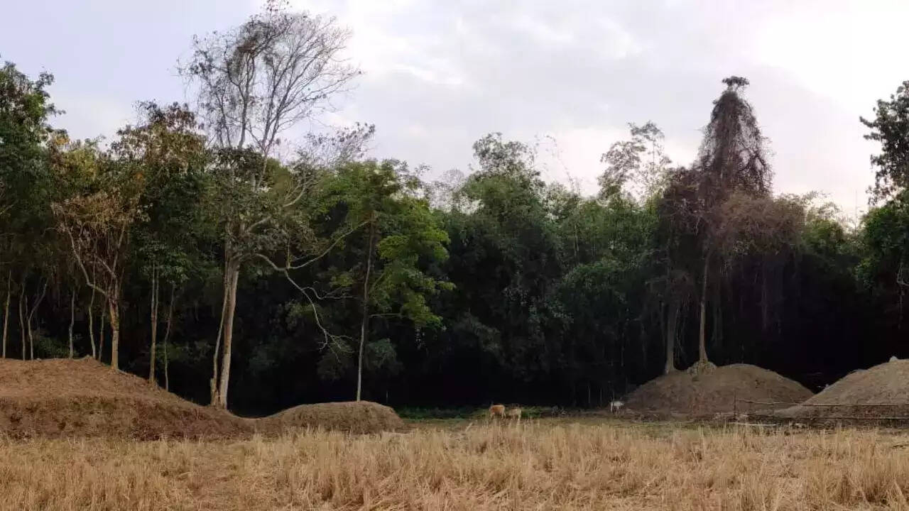 Assam's Moidams Of Ahom Dynasty In India Has Entered Into UNESCO World ...