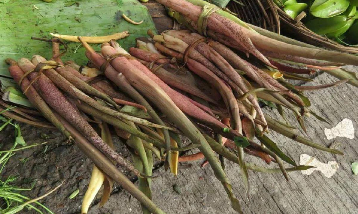 Monsoon Vegetables: श्रावण आला रे...आहारात करा 'या' पावसाळी ...
